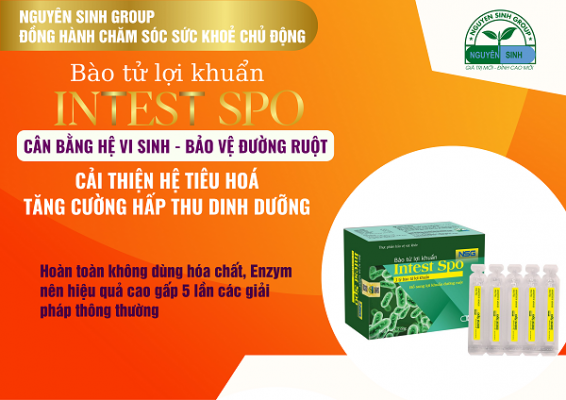 Bào tử lợi khuẩn Intest Spo Plus - Thực phẩm bảo vệ sức khoẻ