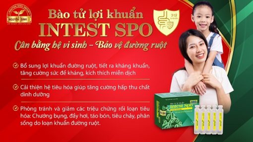 Bào tử lợi khuẩn Intest Spo Plus - Thực phẩm bảo vệ sức khoẻ
